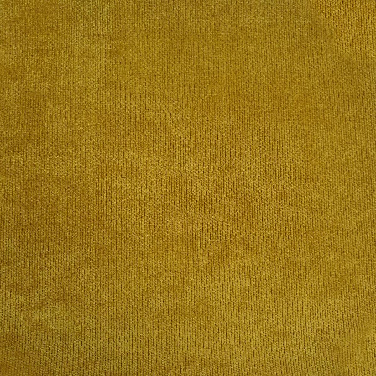Aston Mustard - Swatch Sample | Rooms By Me