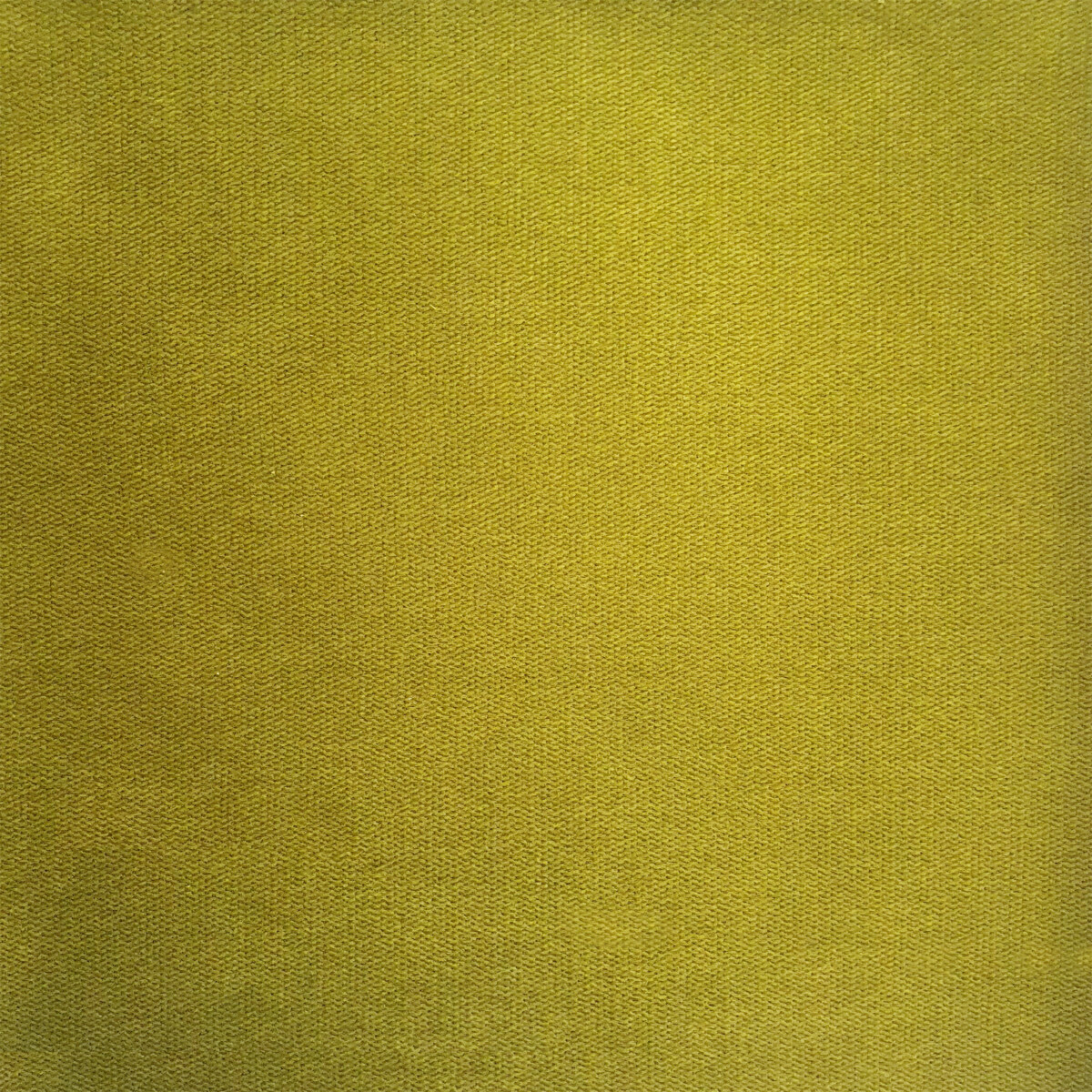 Plush Olive - Swatch Sample | Rooms By Me